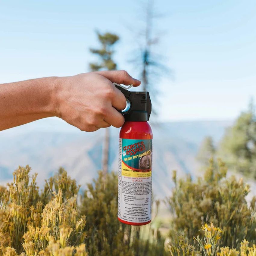 Counter Assault 32-Foot Bear Spray (8.1 oz.) with Holster - 2 Cans ...